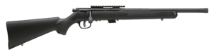 Best .22 Rifles for the Money in 2023 [Bolt Action and Semi Auto]